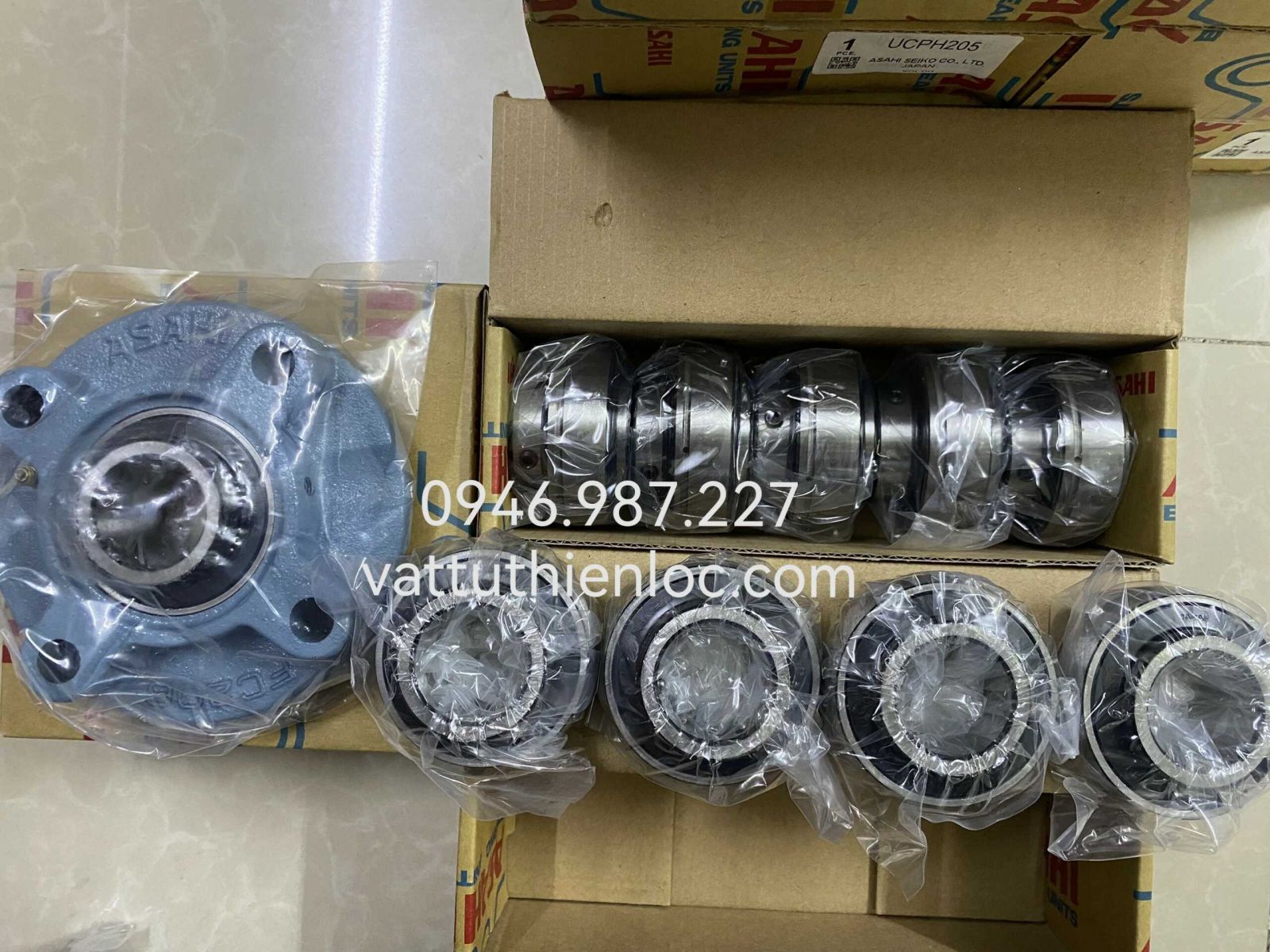 VÒNG BI BẠC ĐẠN ASAHI, GỐI ĐỠ ASAHI UCP205, UCPH205, UC206, UCP206, FC206…